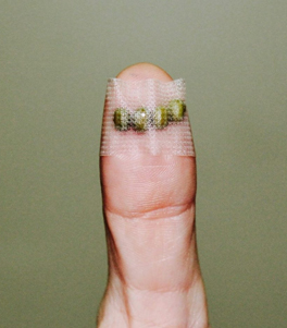 Welcome to Anatomic Therapy Foundation